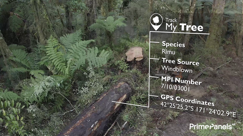 Track my Tree | Bestwood